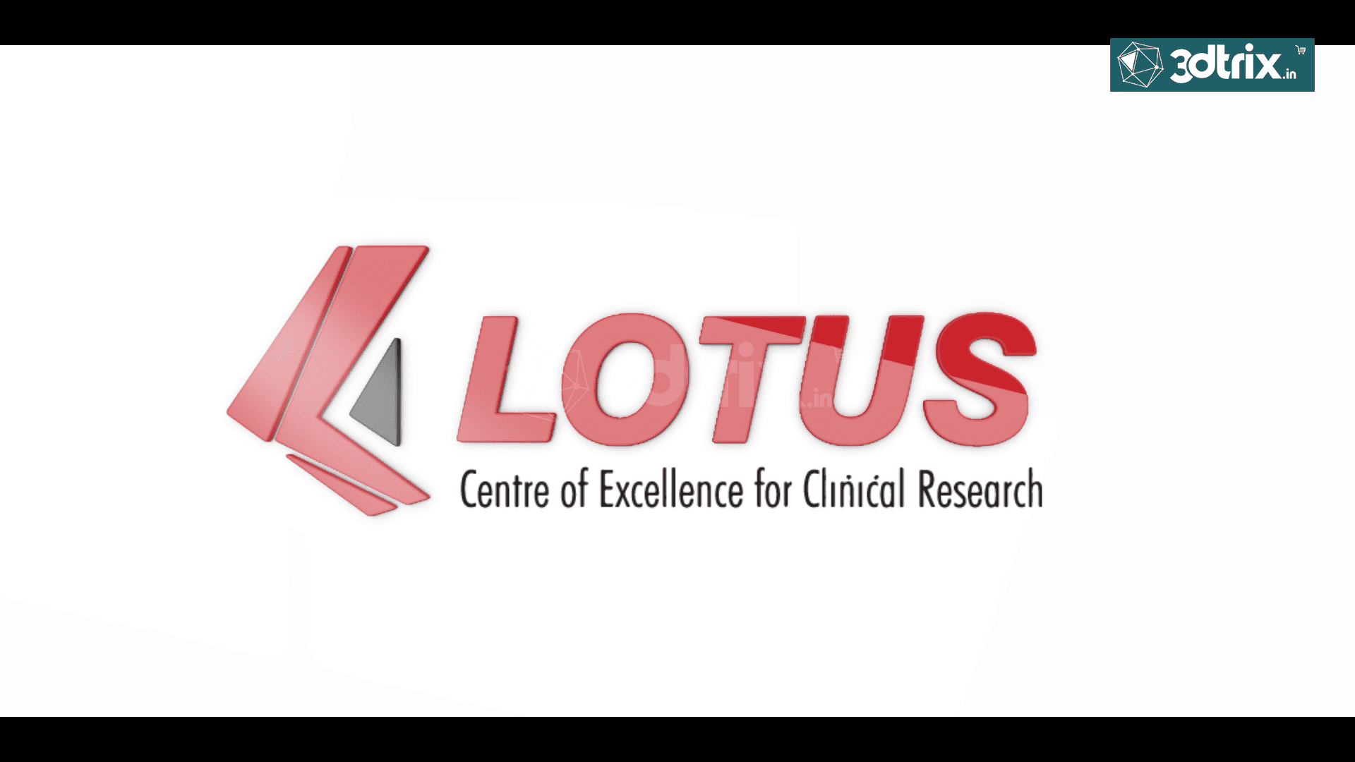 Portfolio - Production Company | House | Studio